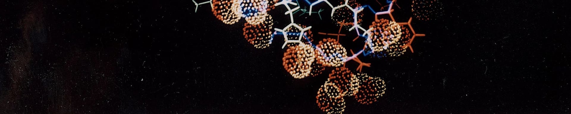 Patent Docketing Services Maxval